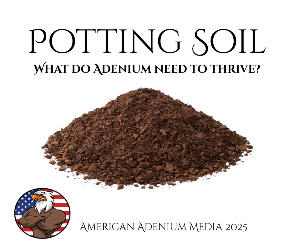 Potting Media & Containers: Building the Perfect Home – American Adenium