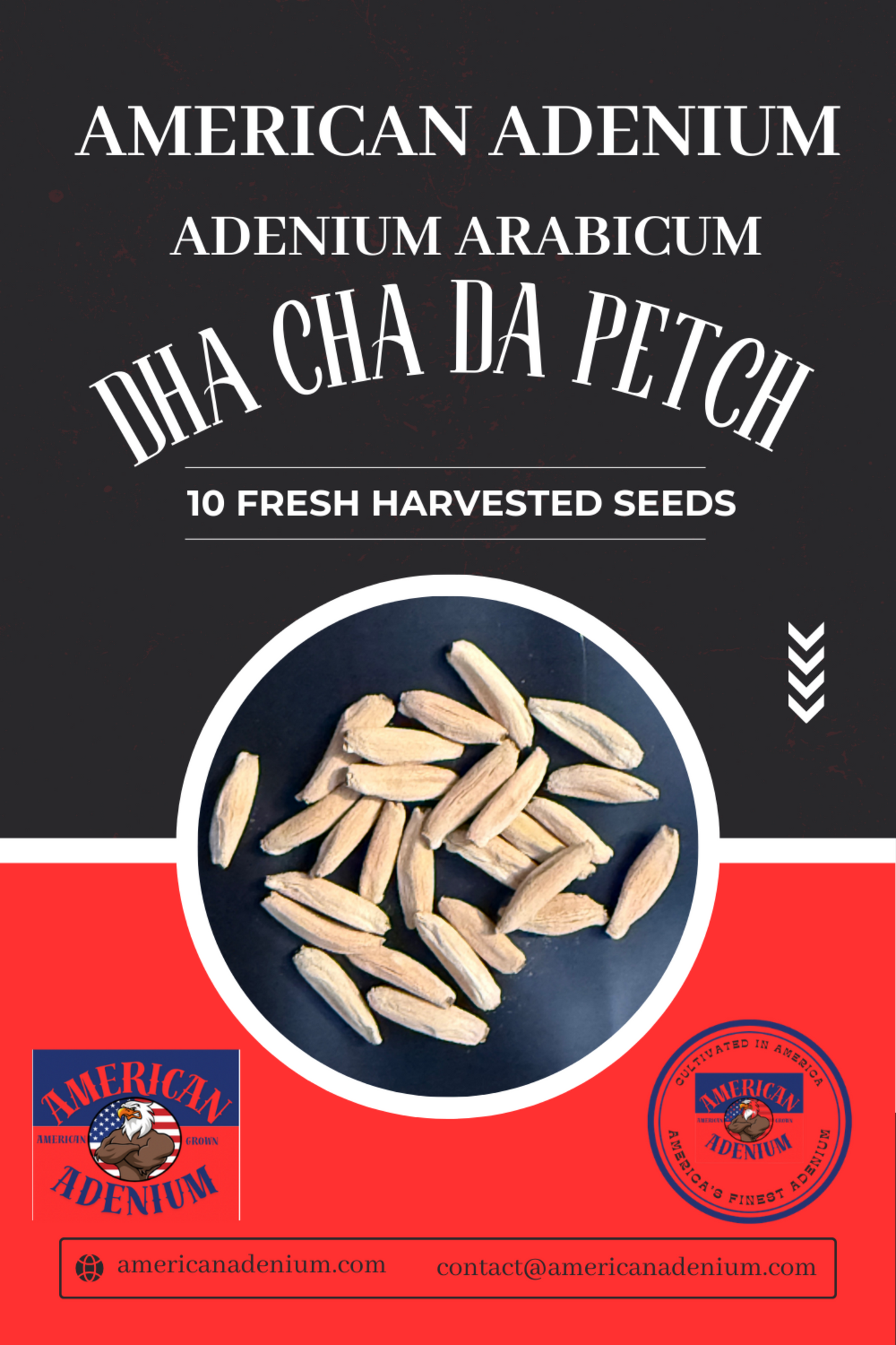 Adenium Arabicum DHA Cha Da Petch 10 seeds – American Adenium
